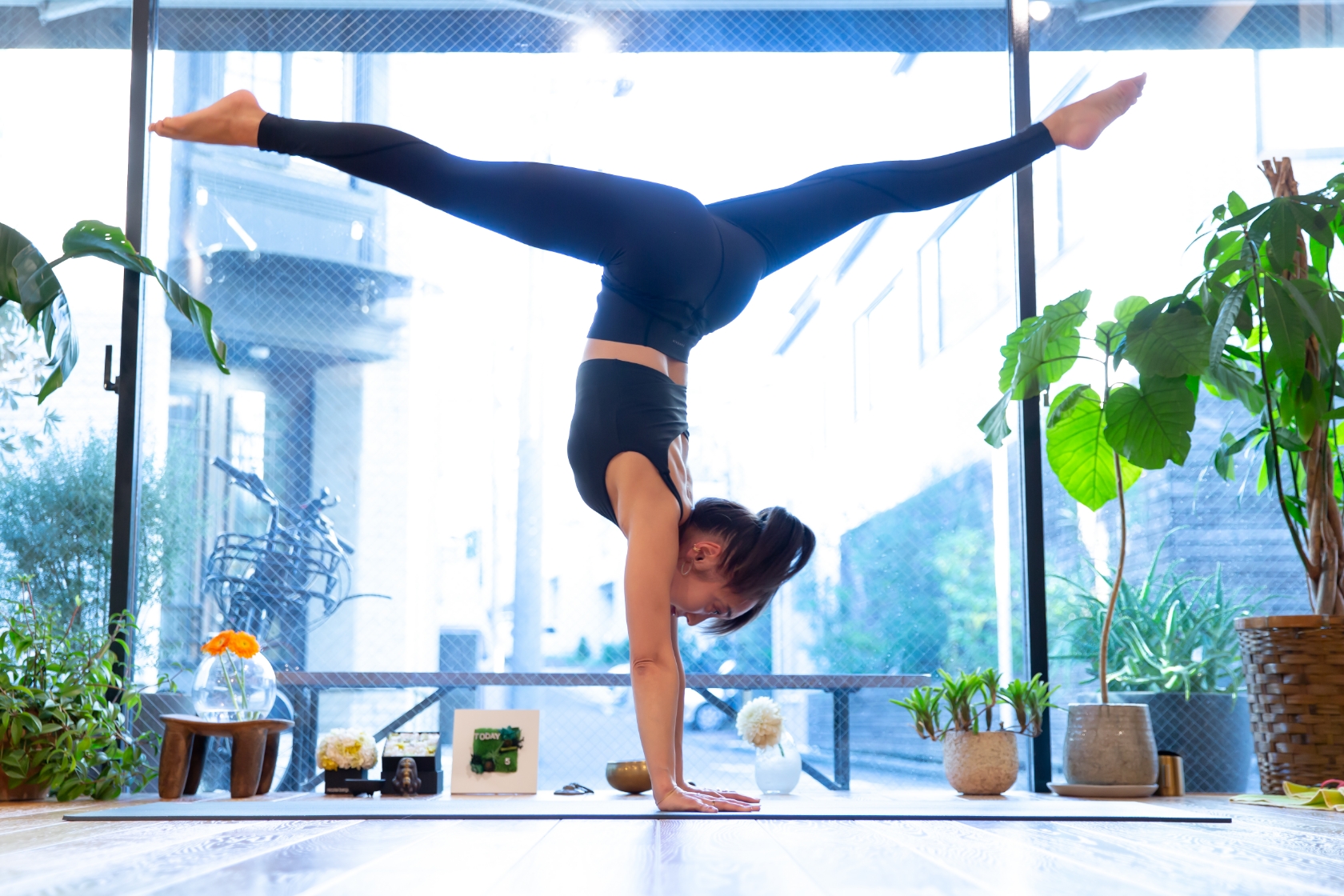 DANSKIN ALLONGE | DANSKIN ダンスキン | ゴールドウイン オフィシャルサイト