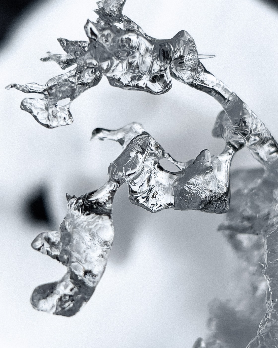 Alpine Codex Group by Goldwin & Actual Source | Goldwin - ゴールドウインブランドサイト