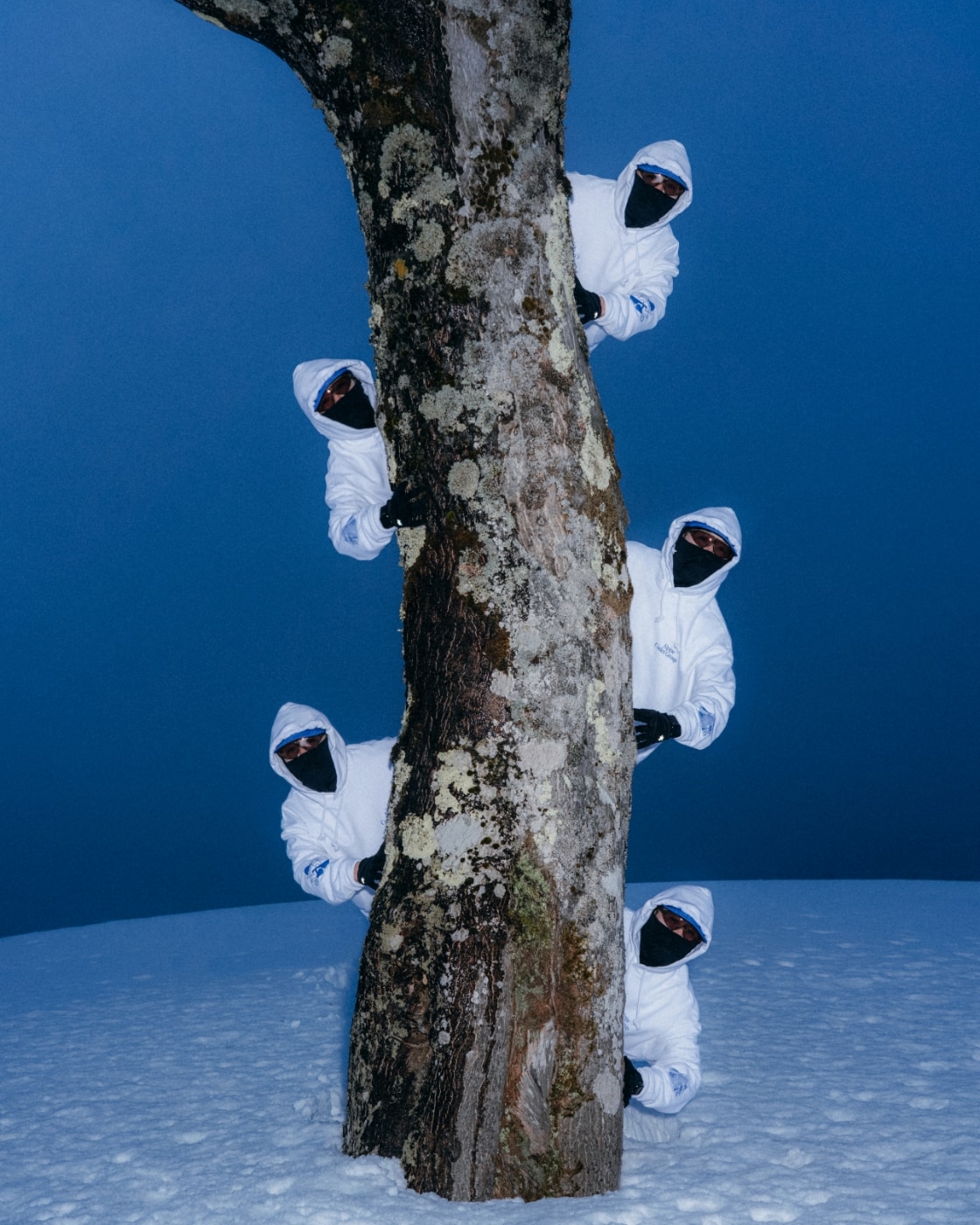 Alpine Codex Group by Goldwin & Actual Source | Goldwin - ゴールドウインブランドサイト