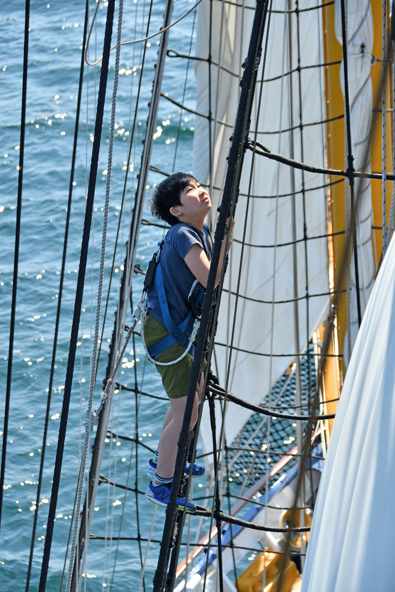 KOBE/hyogo | Report | FAMILY VOYAGE | HELLY HANSEN（ヘリーハンセン）公式サイト - GOLDWIN