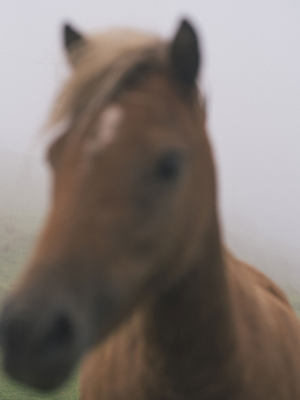 THE NORTH FACE - CIRCULAR WOOL COLLECTION